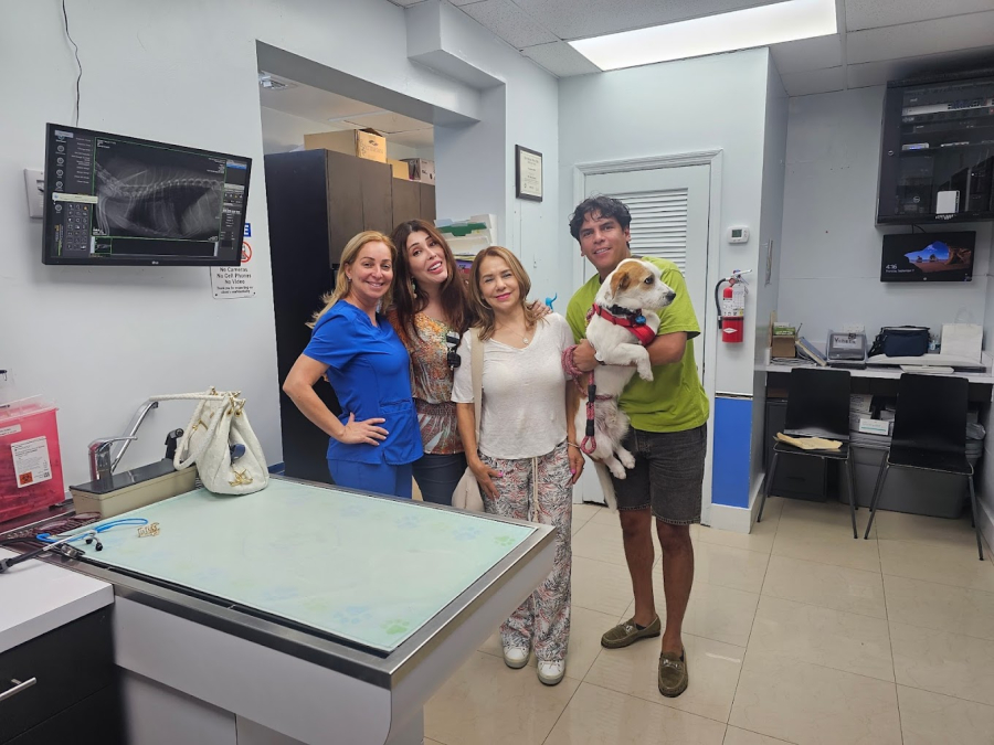 Veterinarians - Miami Animal Clinic. Miami, 7337 SW 8th St, Miami, FL ...